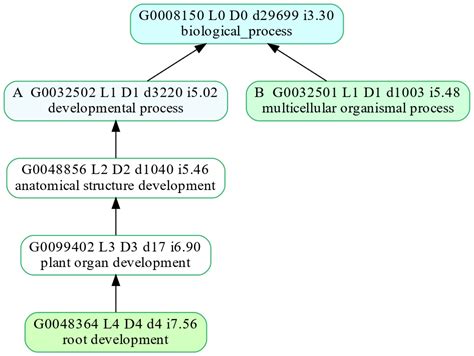 Lin S Similarity Measure Might Be Implemented Incorrectly In GOATOOLS