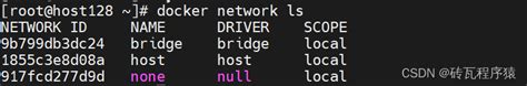 十一、docker网络（docker Network） Csdn博客