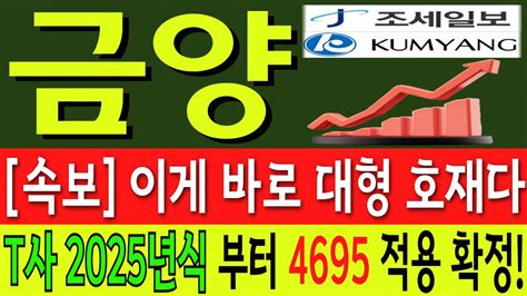 📈 금양 충격 긴급 속보 큰일 났다 올랐다고 좋아하지 마라 장교수 Youtube