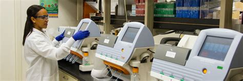 HSP Cause And Diagnosis HSP Support Group