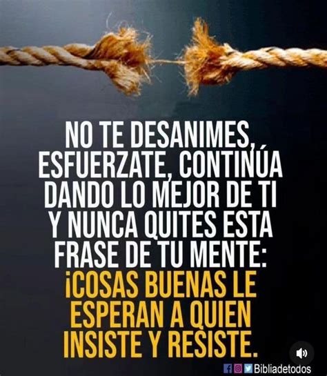 Frases Inspiradoras En Español Lone Wolf Quotes Palabras De Aliento