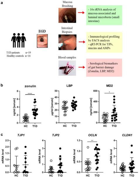 Intestinal Mucosal Disease