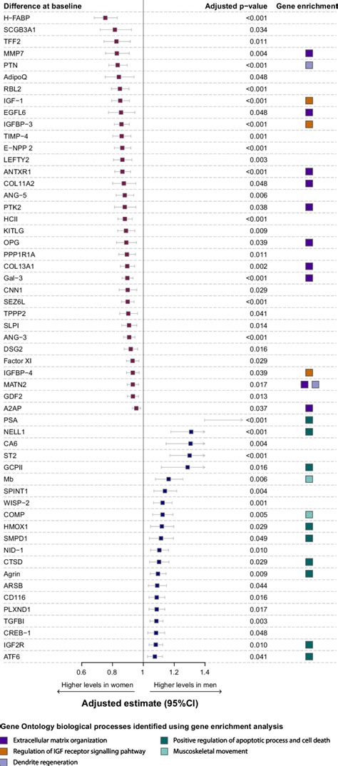 Sex Based Differences In Cardiovascular Proteomic Profiles And Their