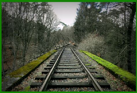 Smart Labels And Sensor Embedded Barcodes