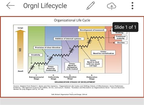 Solved Apply The Organizational Lifecycle Diagram As Shown