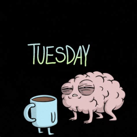 100 Hilarious Happy Funny Tuesday S Of The Week Funzumo