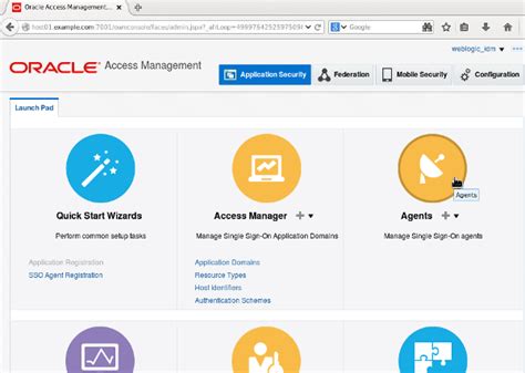 Integrating Oam And Oim 11gr2ps3 Configuring The Identity Store Performing Integration And