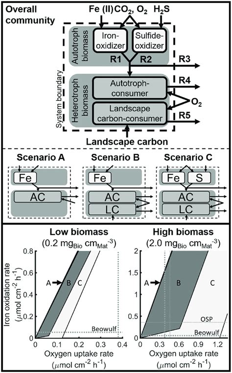 Sensitivity Analysis Of System Behavior As A Function Of Geochemical