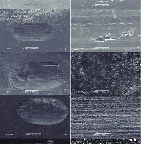 Sem Micrographs Of Representative Specimens From Each Material After Download Scientific