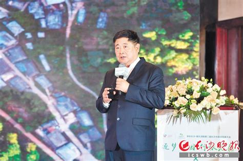 单霁翔：期待长沙提供典范经验 长沙晚报网