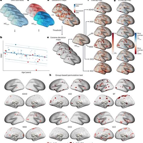 Functional Circuit Heterogeneity Of Extreme Negative Gmv Deviations In