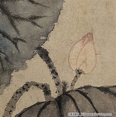 石涛国画 荷花 高清大图下载 名画油画网