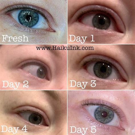 Permanent Eyeliner Healing Process At Sean Chaffey Blog