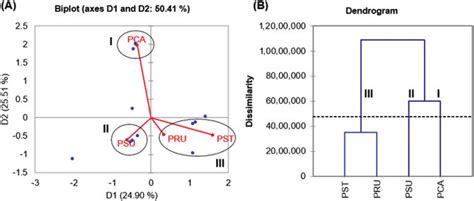 Principal Component Analysis Pca Plot A And Hierarchical Cluster Download Scientific