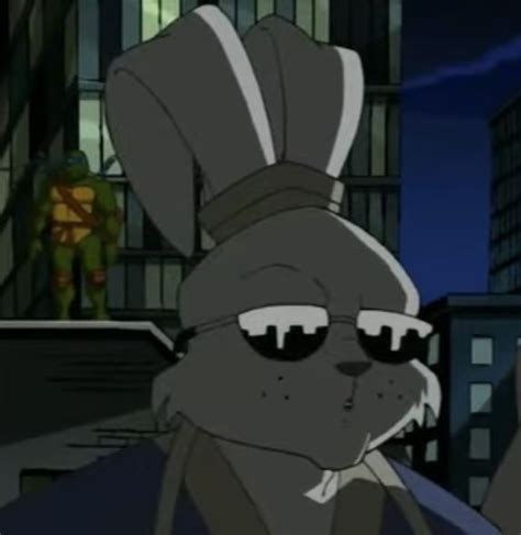 Miyamoto Usagi Chill Tmnt 2003 Pfp Tmnt Artwork Tmnt Teenage Mutant