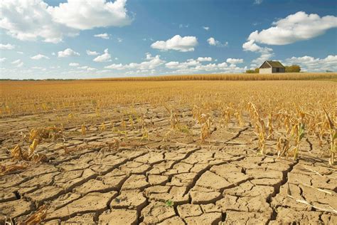 물부족으로 2050년 식량위기 닥친다세계 Gdp 8 감소할 것