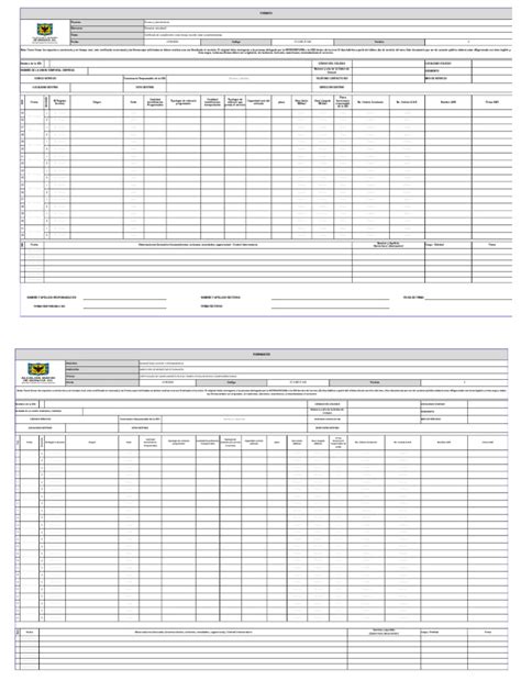Planilla Complementarias Pdf