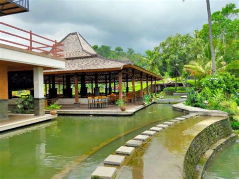 Aling Aling Waterfall Lokasi Jam Buka And Harga Tiket Masuk 2026
