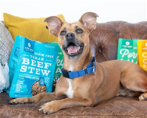 5 Dog Food Delivery Services So Good Humans Could Eat It 50 Off