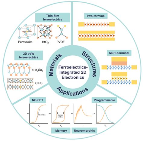 Acs Nano综述 面向下一代电子学应用的铁电二维器件 X Mol资讯
