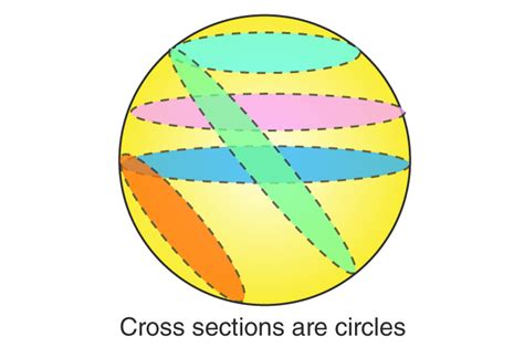 Cross Section Definition Science At Don Harris Blog