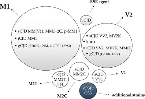 Prion Disease Pathway Semantic Scholar