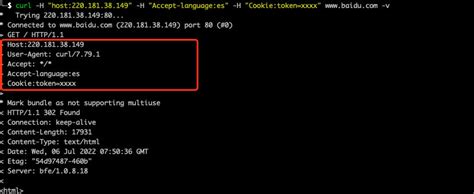 curl如何发送post请求，如何自定义header头 curl header csdn博客