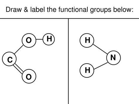 PPT Draw Label The Functional Groups Below PowerPoint Presentation ID