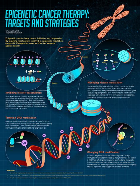 Cancer Epigenetics And Cancer Poster 1 Pdf Epigenetics Histone