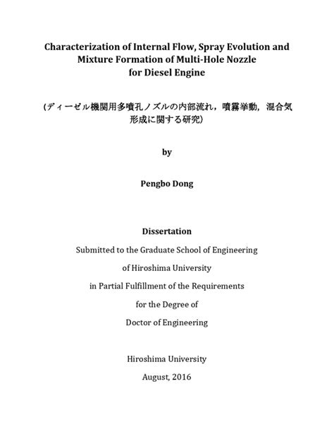 Characterization Of Internal Flow Spray Evolution And Mixture Formation Of Multi Hole Nozzle