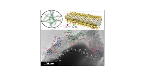 Structural Design Of A Cellulose Based Solid Amine Adsorbent For The