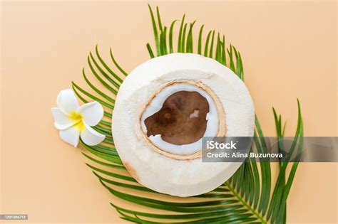 파스텔 오렌지 배경에 야자수 잎과 코코넛 상단보기 모형 오버 헤드 복사 공간이있는 플랫 레이 이미지 여름과 열대 개념 0명에 대한 스톡 사진 및 기타 이미지 Istock