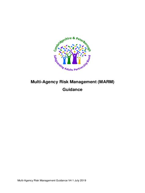 Fillable Online Multi Agency Risk Assessment And Management Guidance Fax Email Print Pdffiller