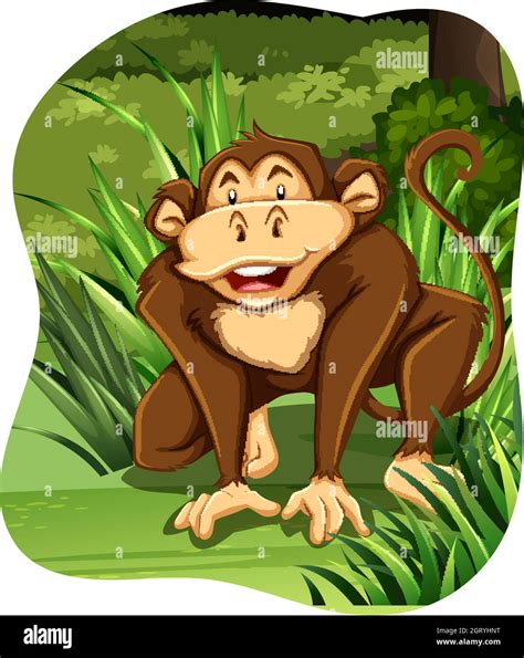 Gibbon Monkey Stock Vector Images Alamy