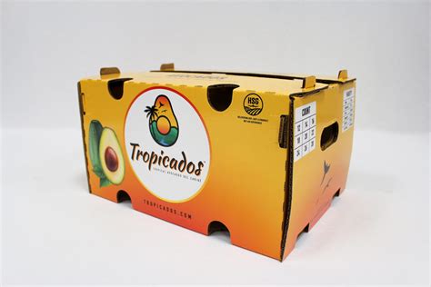 Single Pass Digital Complete Design And Packaging