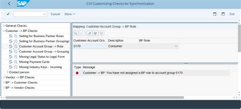 CVI Customizing Check Report SAP Community