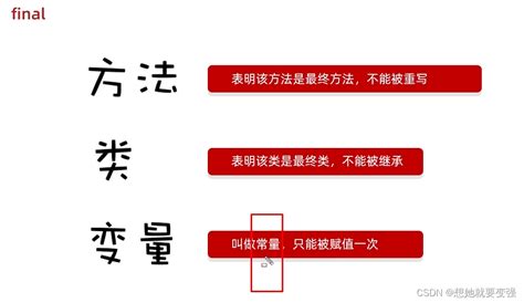 面向对象进阶 包和final Csdn博客