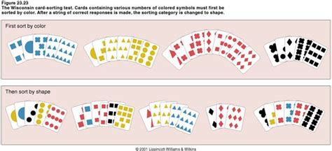 The Legendary Wisconsin Card Sorting Test By Moyansyq Psyc 406 2015 Medium