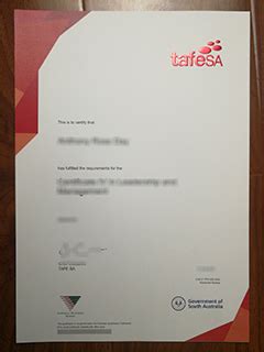 How Much To Buy A Fake TAFE South Australia Diploma Certificate