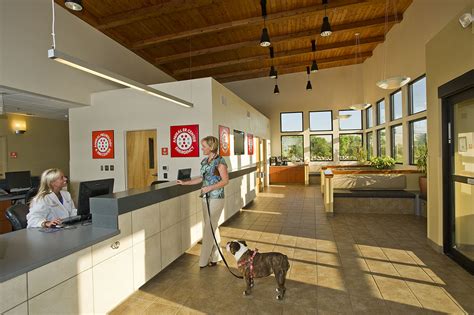 Design Requirements Bda Architecture Veterinary Hospitals