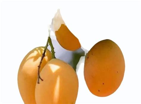 Mango At ₹ 2000dozen आम In Rangareddy Id 2853500665197