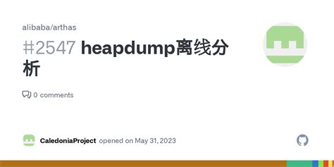 Heapdump离线分析 · Issue 2547 · Alibabaarthas · Github
