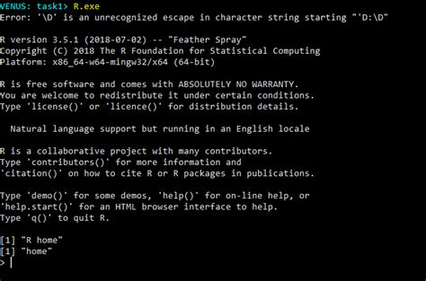 Windows Unrecognized Escape In Character String On R Startup