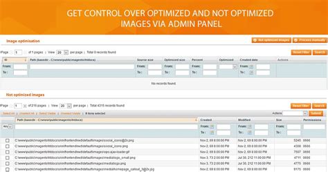 Magento Page Speed Extension 79 Free Installation