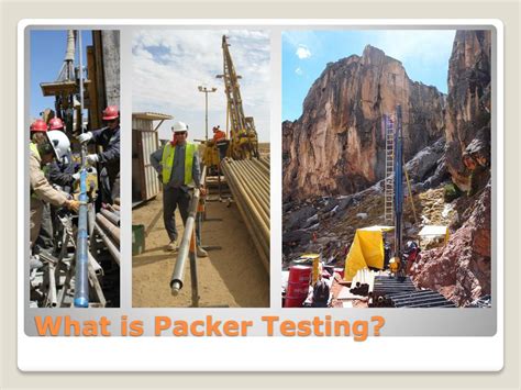 Ppt Packer Testing Program Design And Management Powerpoint