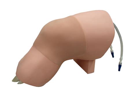 Arthrocentesis Model