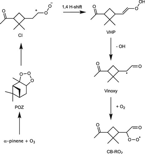 Ozonolysis Reaction Of α Pinene The Addition Of Ozone To The Double