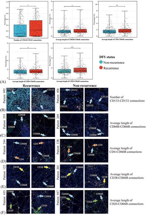 Comparison Of Spatial Cell Location In Non‐small Cell Lung Cancer
