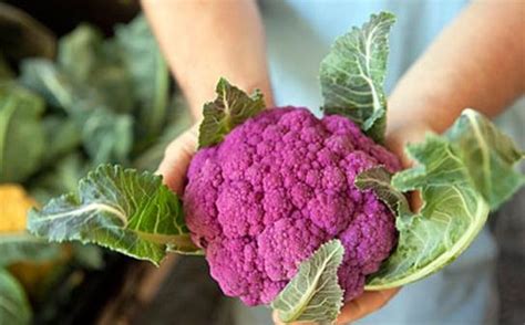 预防和延缓老年斑发生的食物 老年斑并不是老年人的专利 小知识 易坊