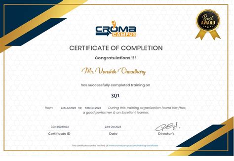 Sql Certification Data Learning Professionaldevelopment Linkedin